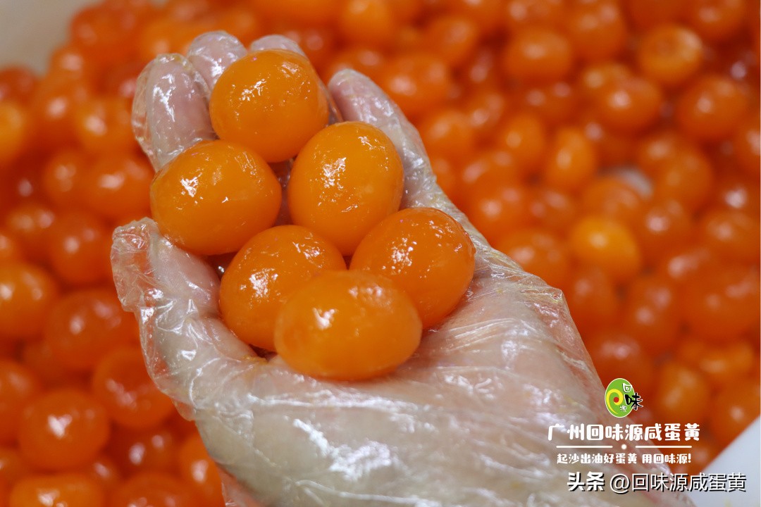 Aftertaste source high-end customized salted egg yolk: only salted egg ...