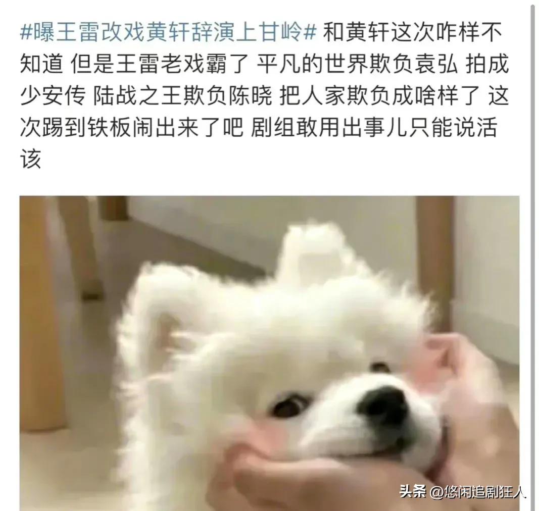 The honest man Wang Lei is dishonest? Huang Xuan, Chen Baoguo, Chen ...