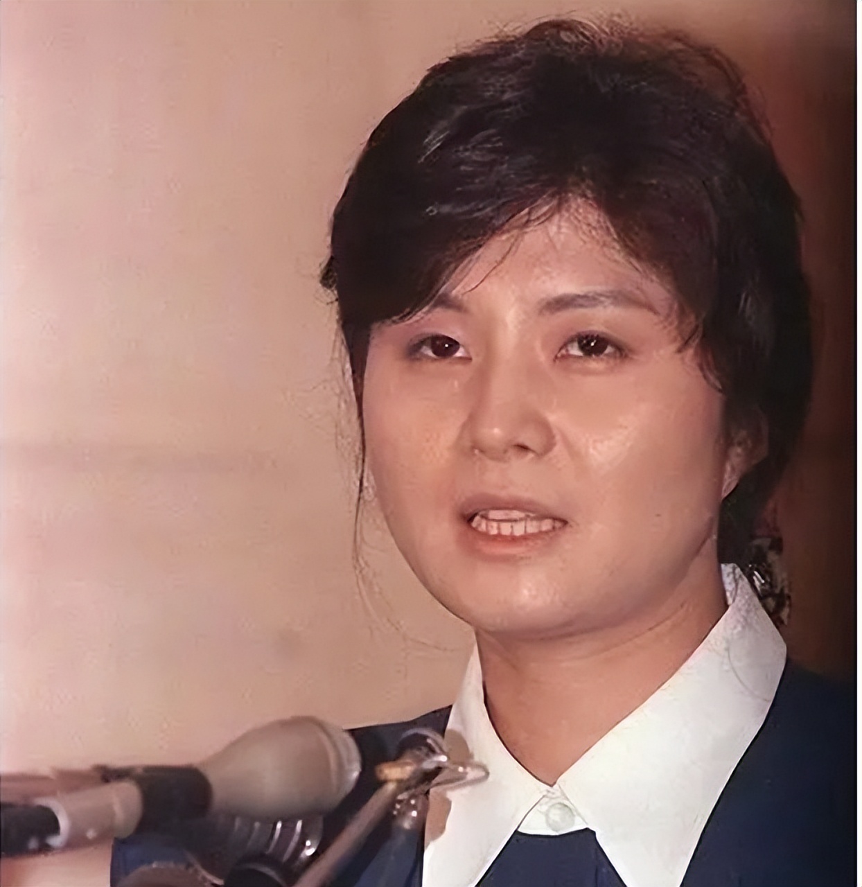 In 1987, the beauty agent Kim Hyun Hee caused an air crash, killing 115 ...