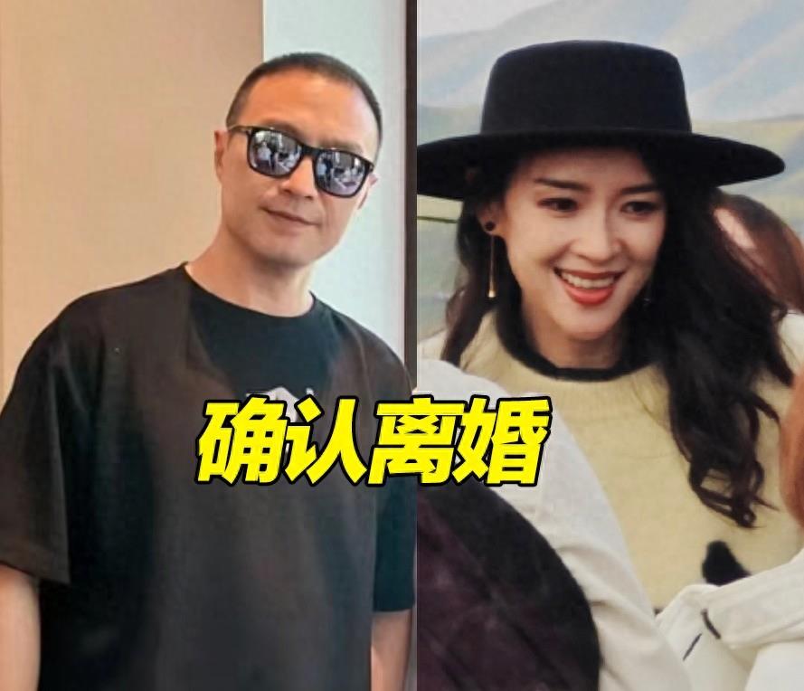 Divorce turmoil revealed: The truth about Wang Feng and Zhang Ziyi's ...