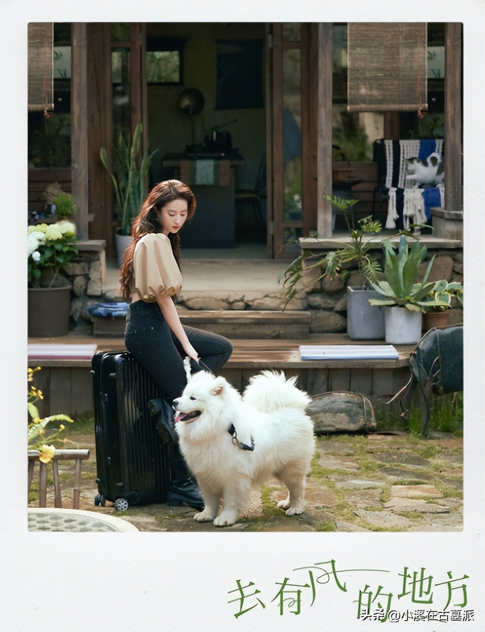 Liu Yifei: A Fairy Blooming Alone - iMedia