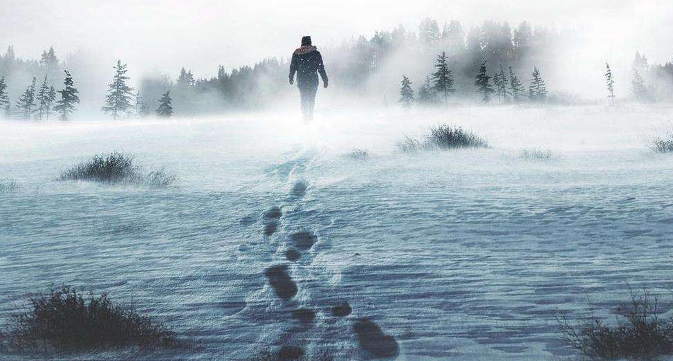 Is the TV documentary "Living Alone in the Wild Season 1" dead? - iNEWS