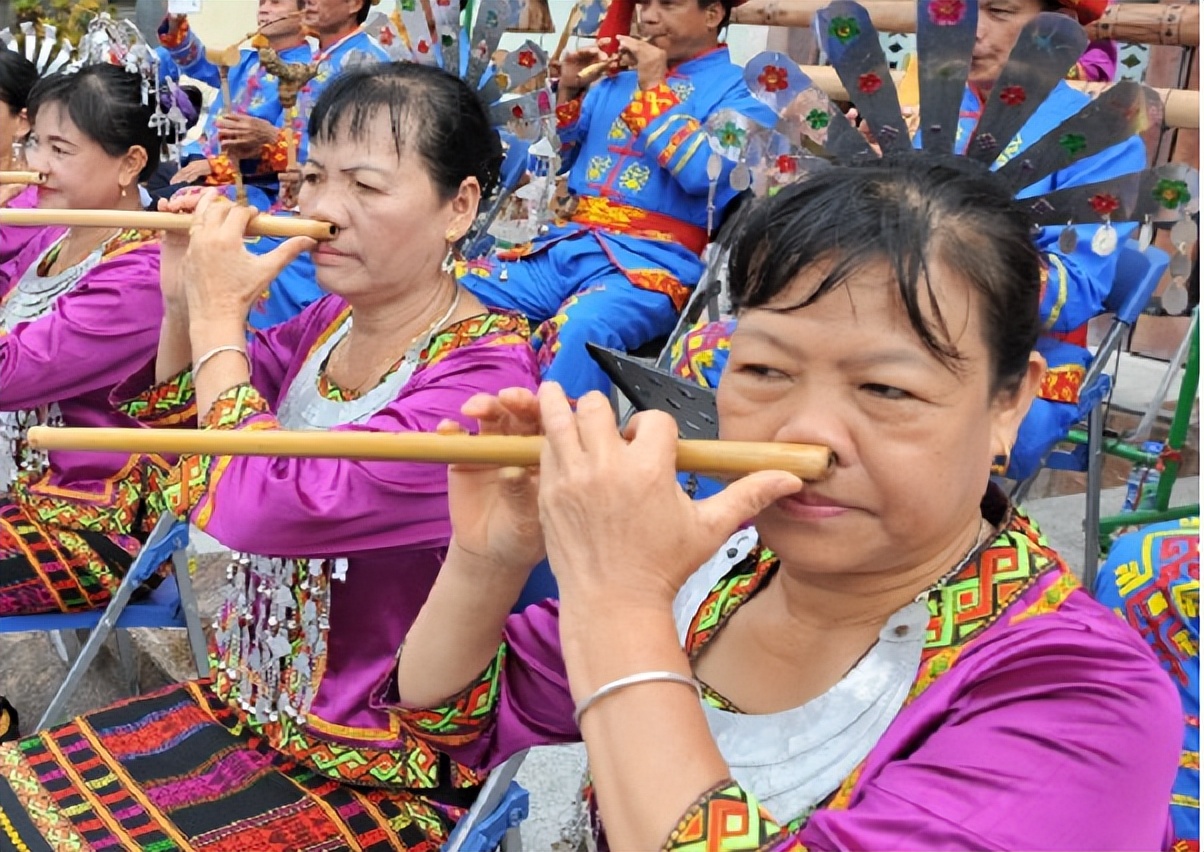 Acoustic Characteristics of Nasally Excited Wind Instruments - iNEWS