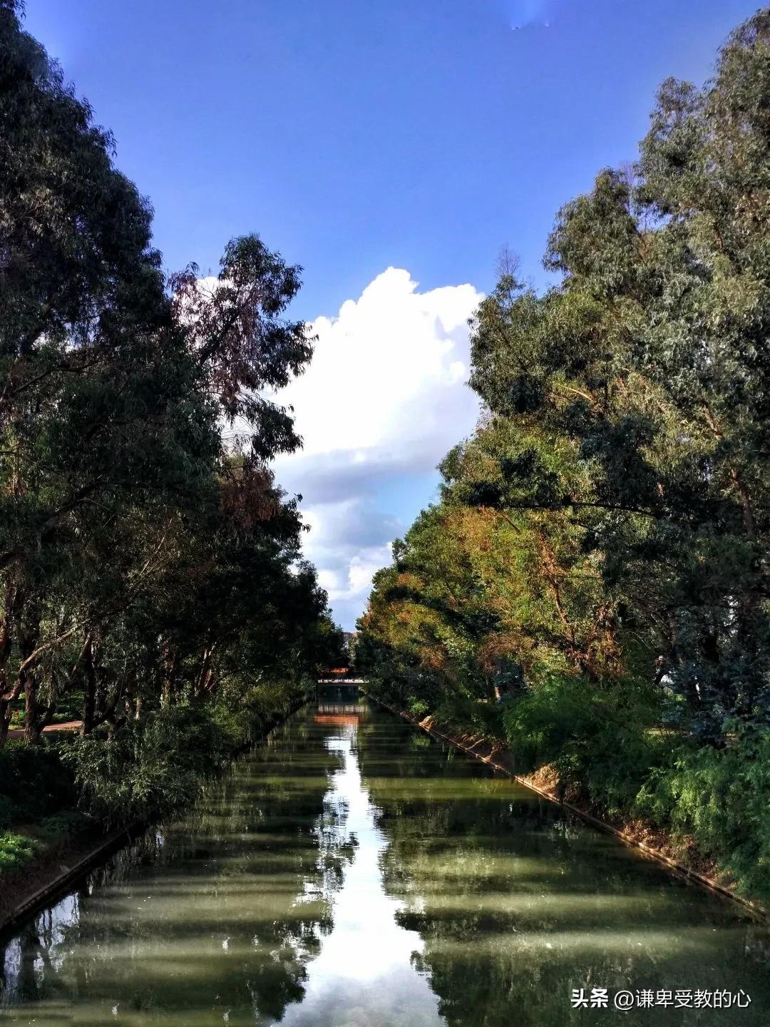 Explore Spring City Kunming - iNEWS