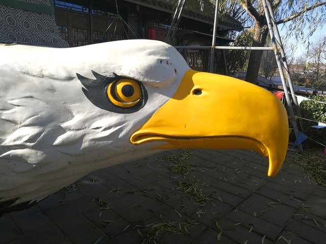 Your Face Shape, Your Destiny: Looking at Personal Destiny from ...