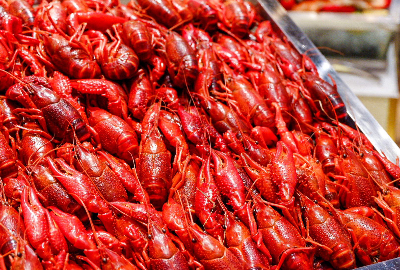 Swissotel Shanghai [Crawfish Theme Buffet Dinner] - iNEWS