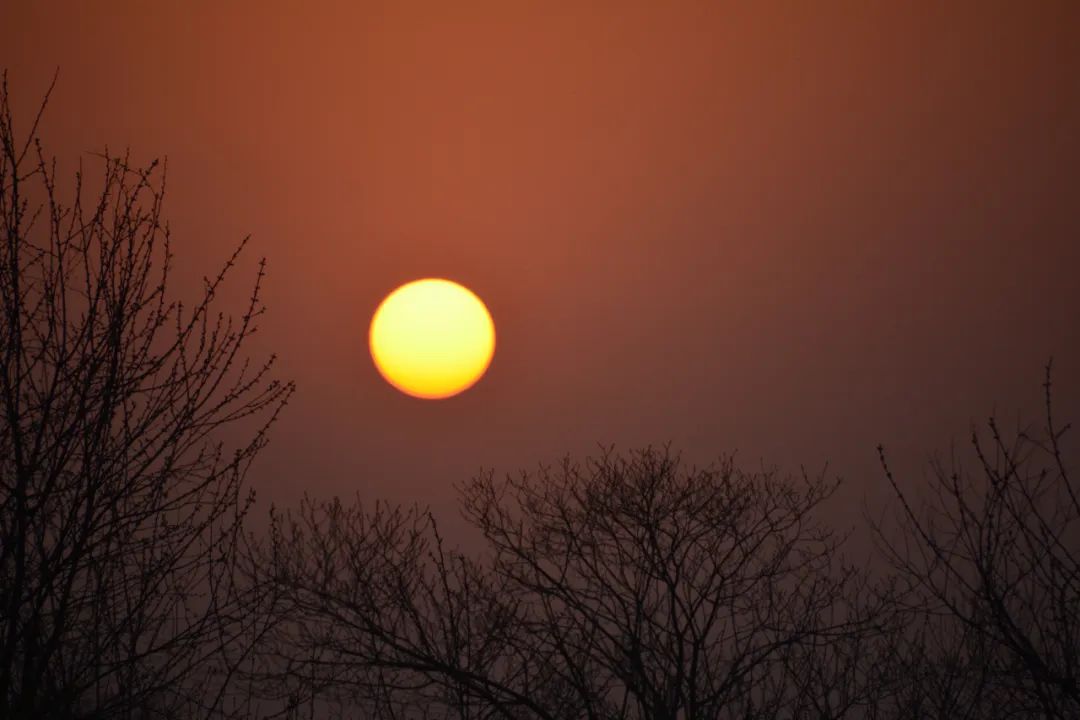 Why do you need to ask more about floating life, only this floating ...