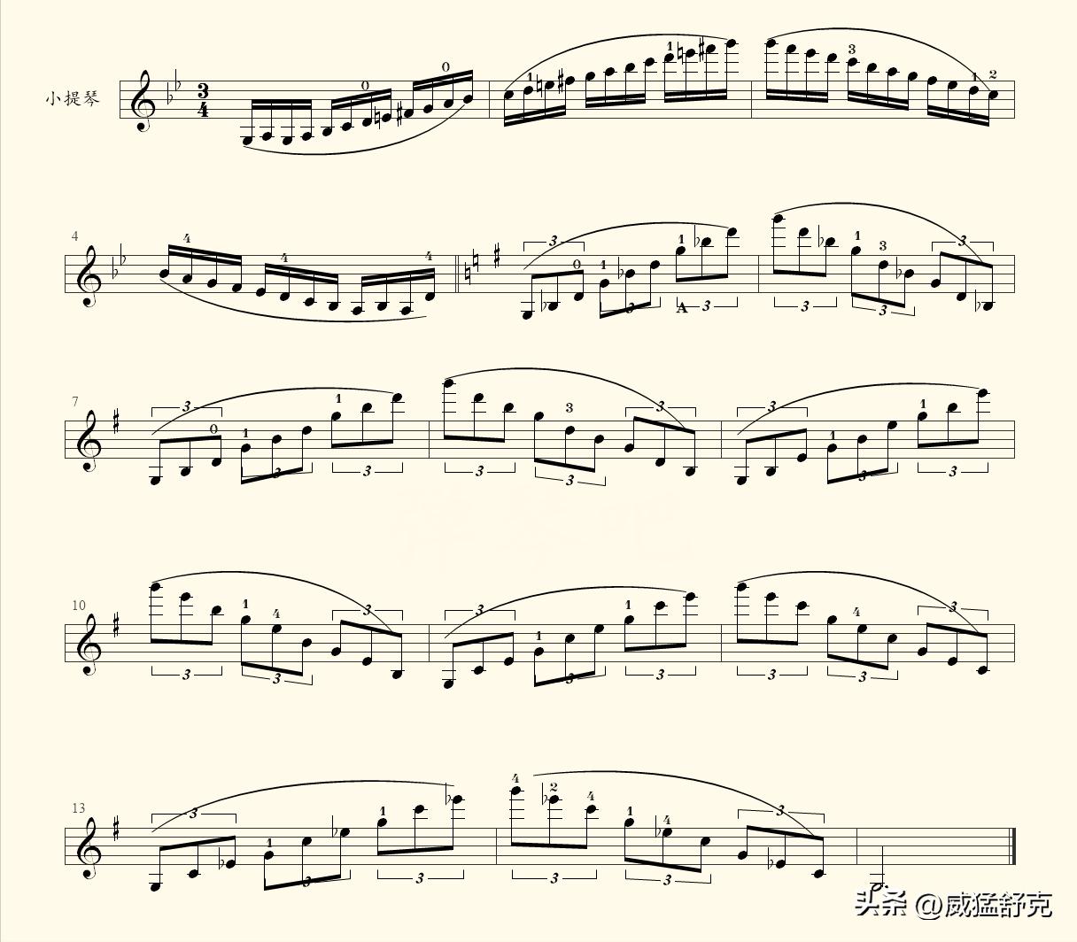 The world of emotions, the fantastic journey of Bach's music, the magic ...