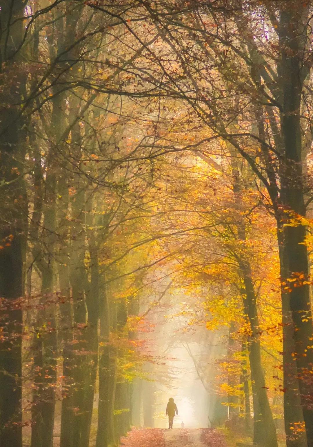 CCTV double beauty Cui Shuang Liu Miaoran - iNEWS