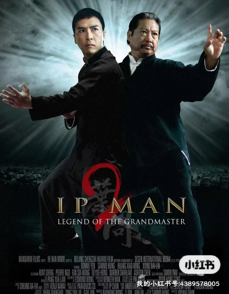 "Ip Man" 1~5 series posters - iMedia