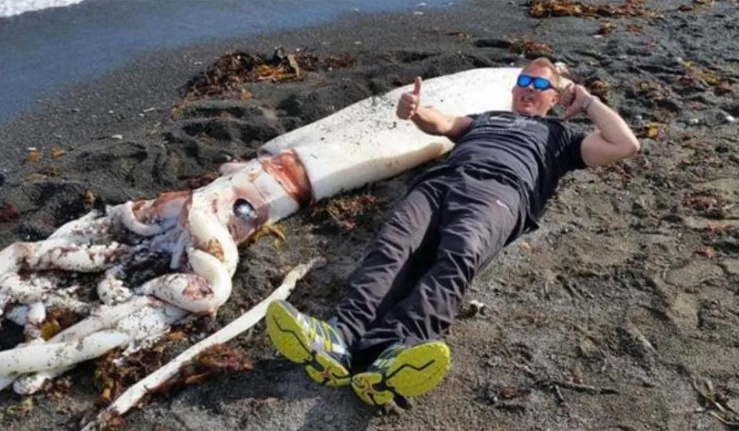 Seven Unidentified Creatures That Actually Existed - iNEWS