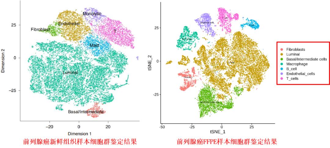 Speak with evidence—the measured FFPE samples are very useful for ...