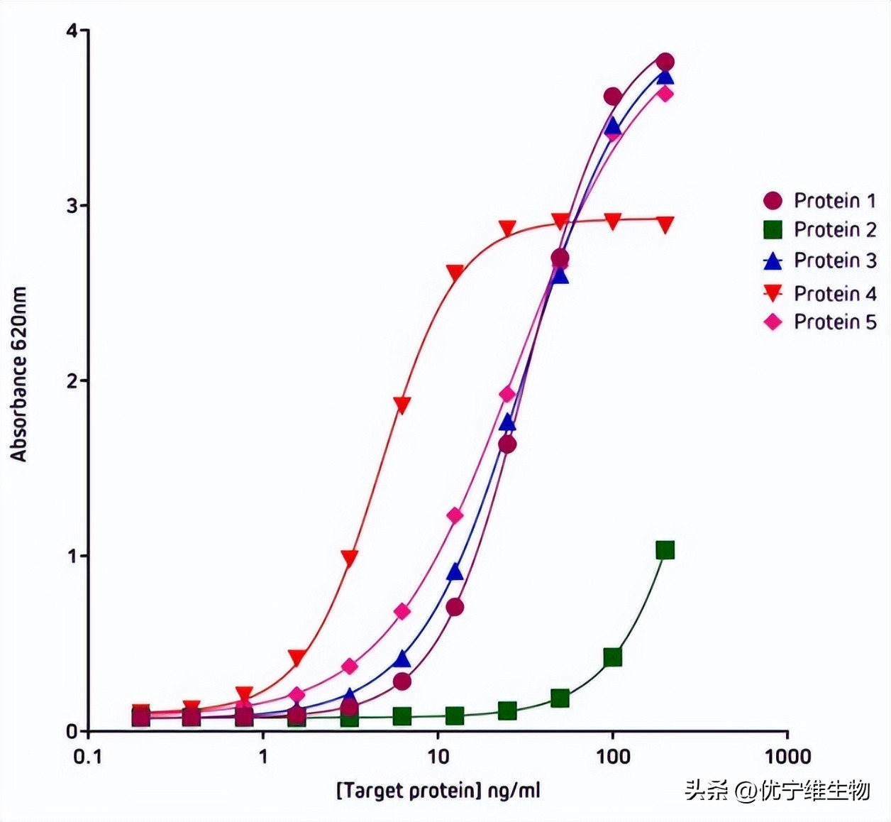Application of His-Tagged Antibodies in WB and ELISA - iNEWS