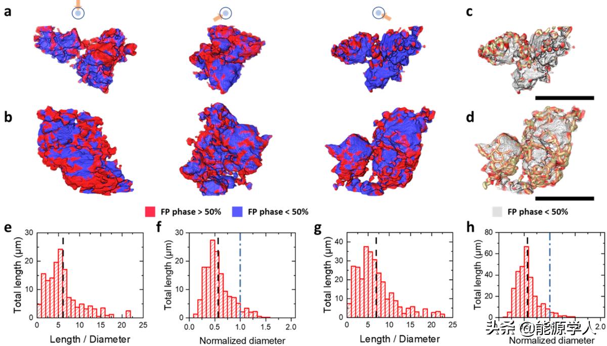 The role of reaction heterogeneity and intercalation-induced stress in ...