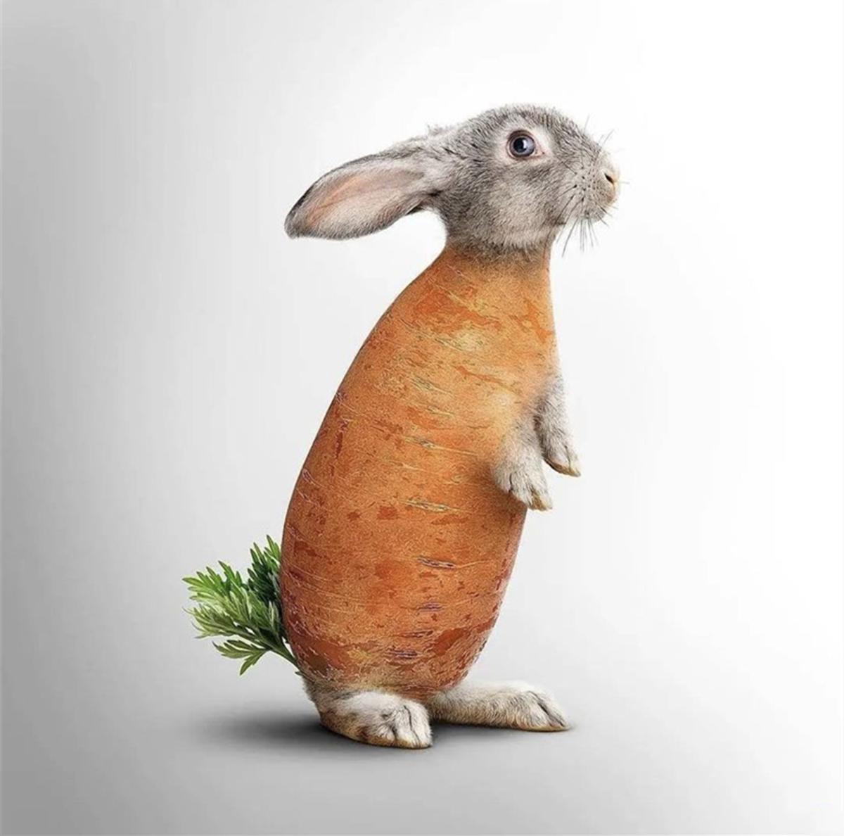 The fusion of animation technology and three-dimensional, animals ...