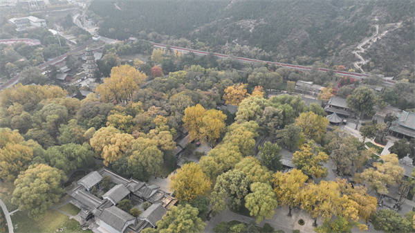 The victory of the Three Jins is dominated by Jinyang, and the victory ...