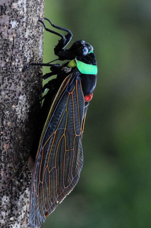 I don't know how they can be so beautiful in spring and autumn. Check ...