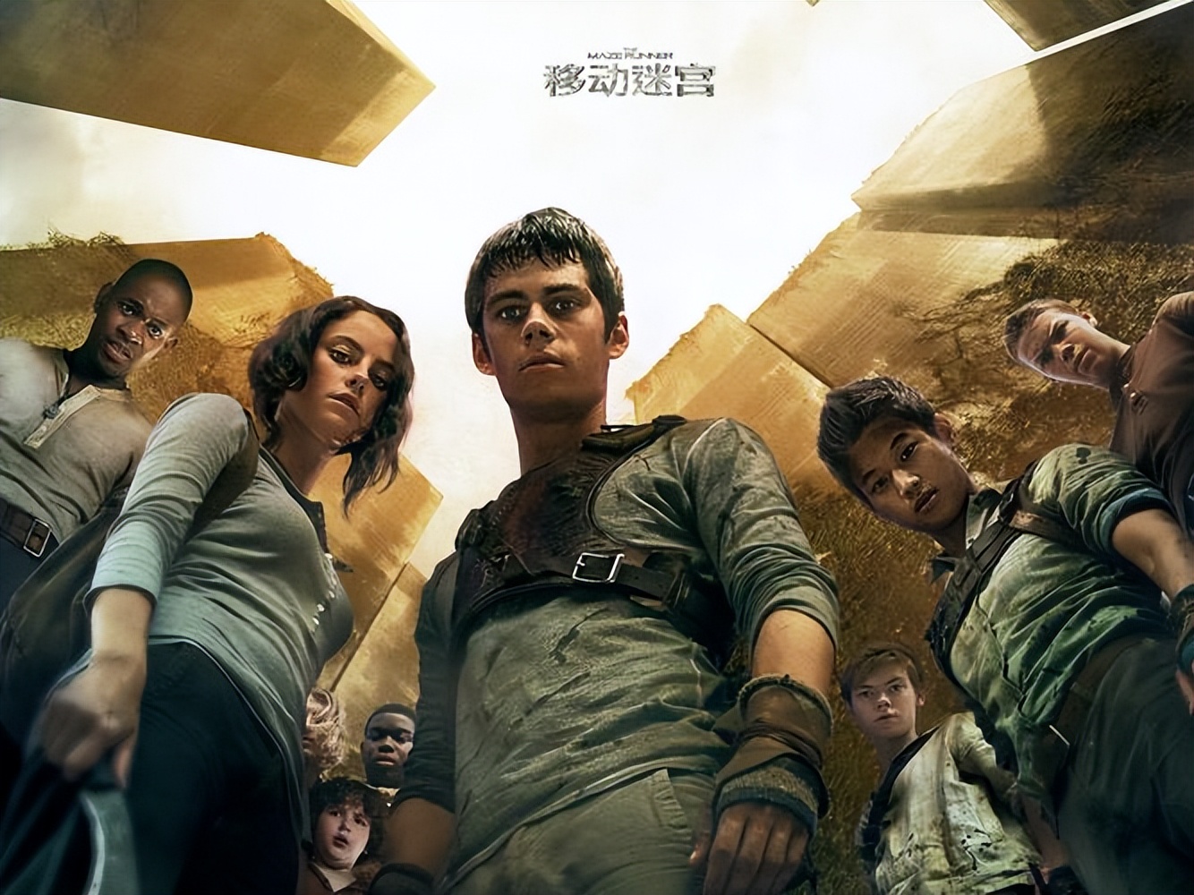 How much do you know about the movie Maze Runner? - iMedia
