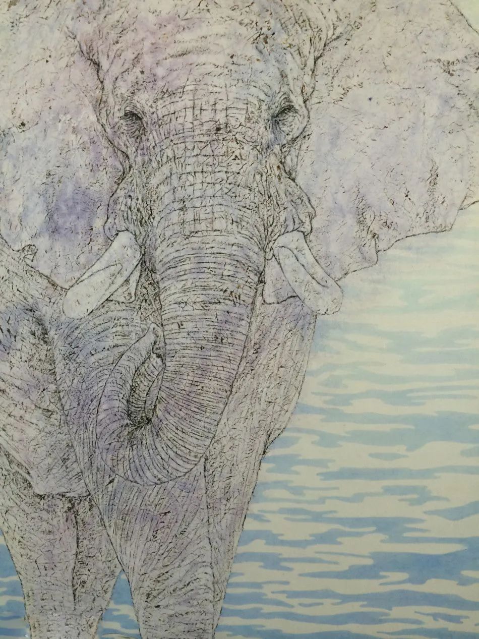 Wang Xining Meticulous Paintings of Animals, Flowers and Birds - iNEWS