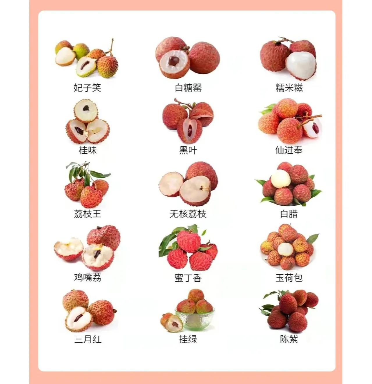 Read all kinds of lychee manuals in one go! There is a surprise at the ...
