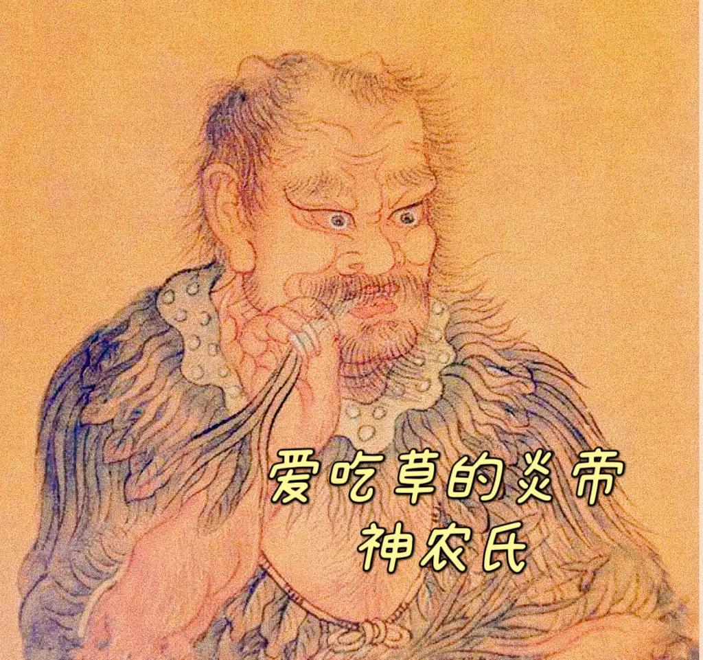 Why traditional Chinese medicine cannot be integrated into modern ...