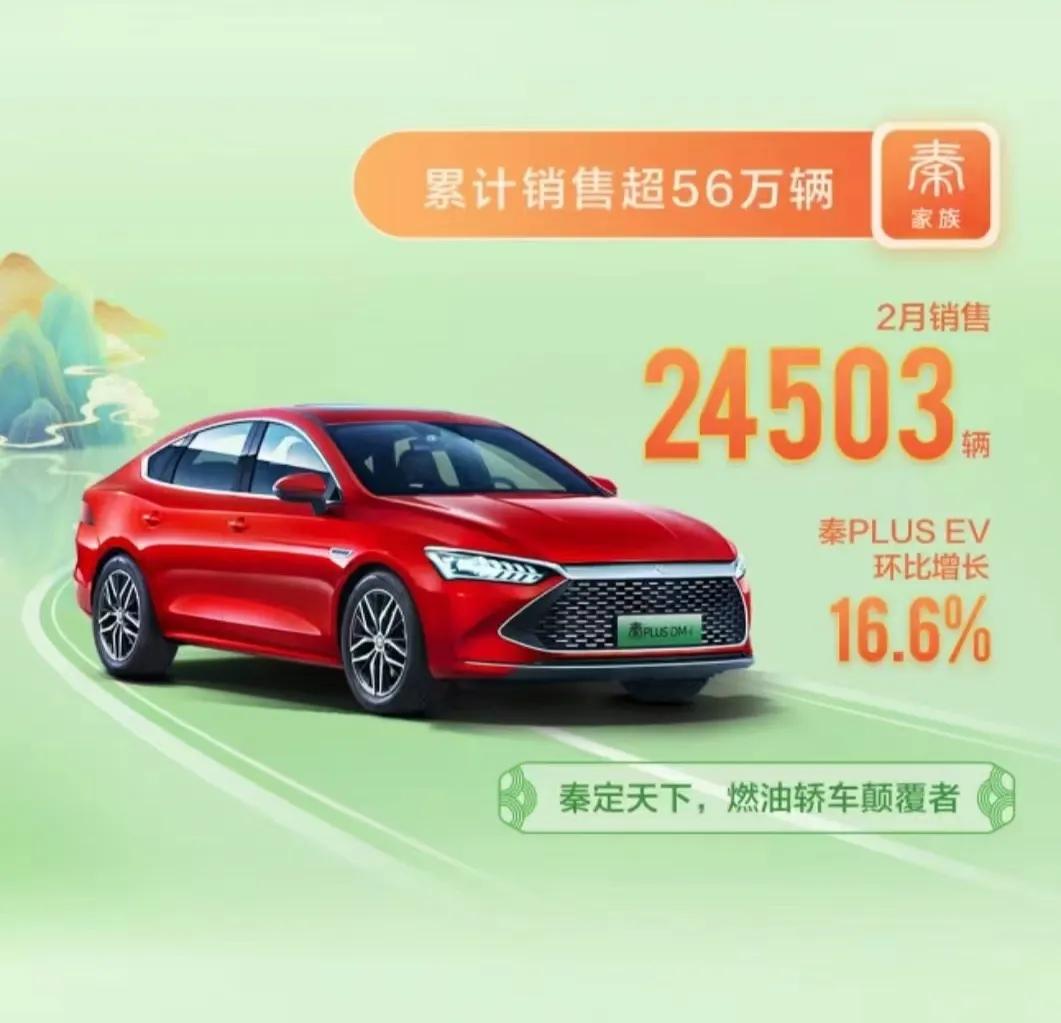 Province!BYD Qin PLUS DMI is the first choice for family cars - iNEWS