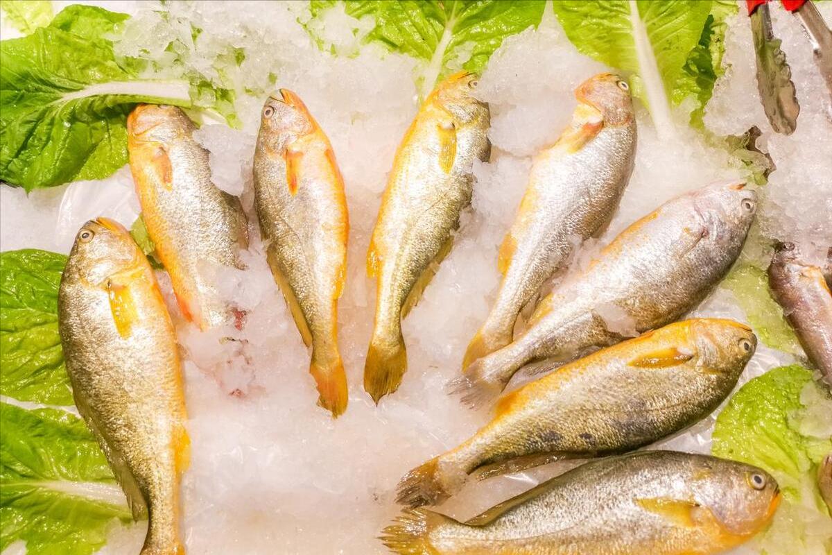 To fry small yellow croaker, use flour or starch? Keep these two tips ...