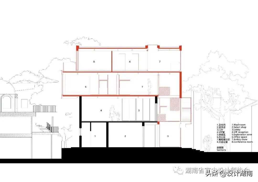 Breaking Through the Boundary of "Internet Celebrity" - Changsha Ape ...