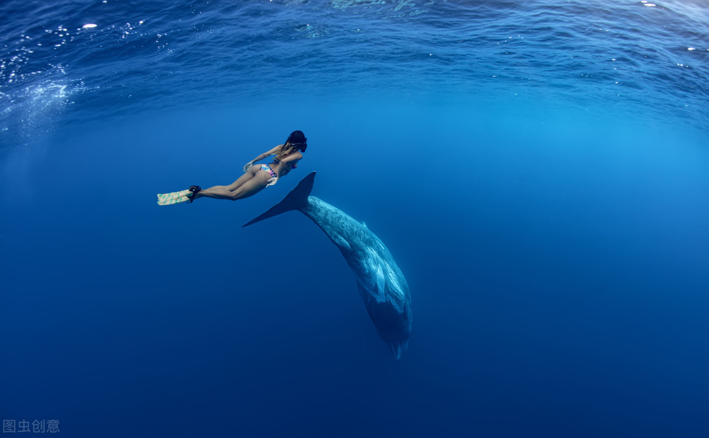 The elf between heaven and earth—diving is so beautiful - iNEWS