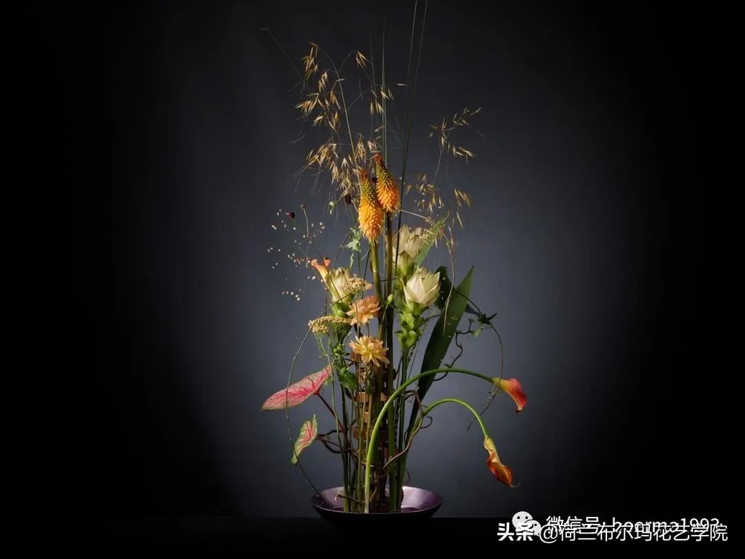 How to find the right proportions in floral design - iMedia