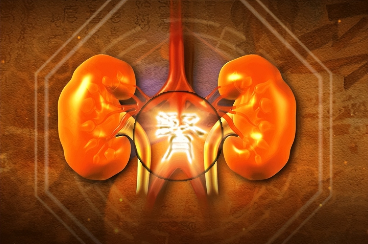 What should I do if the kidney yang is insufficient?These herbs ...