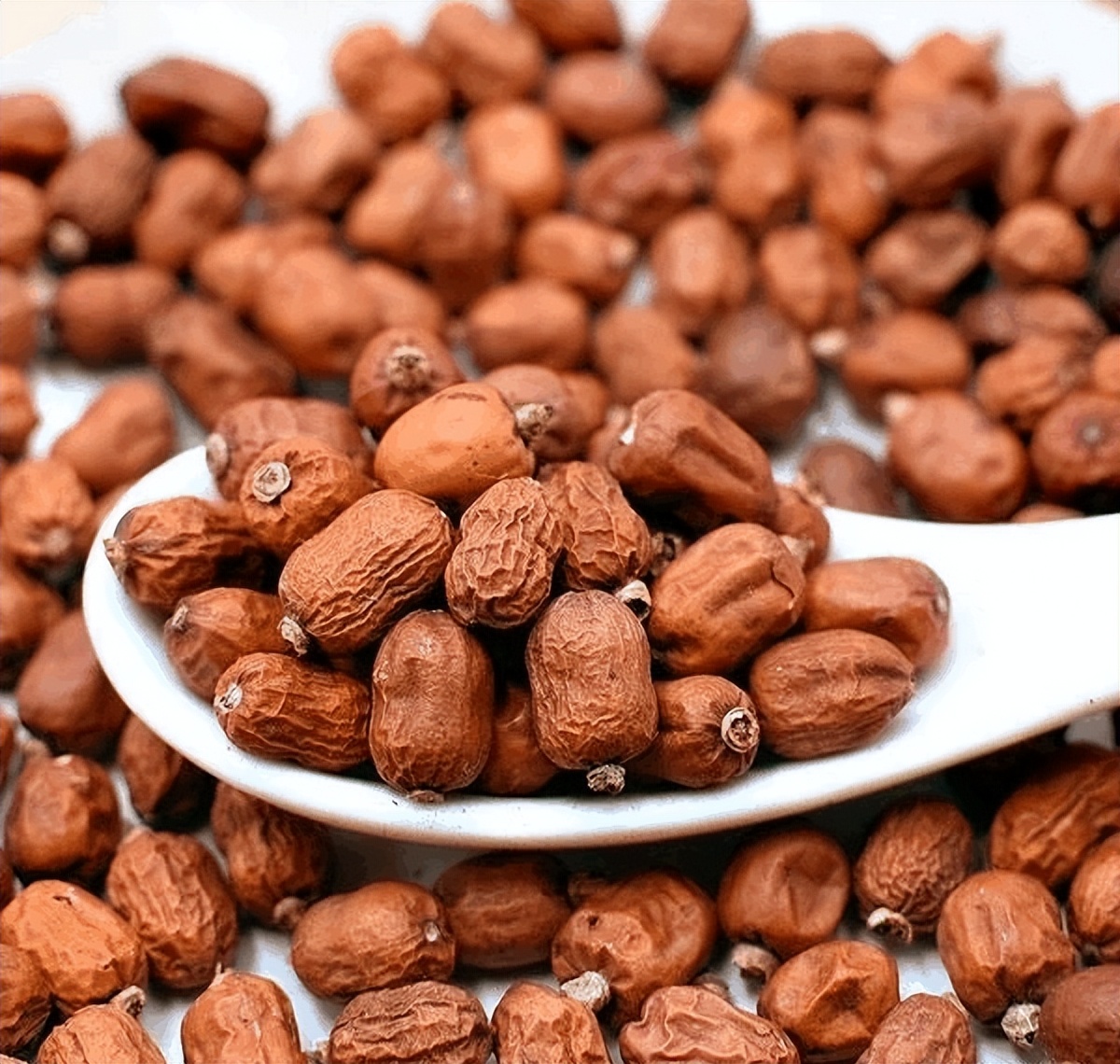 What's the difference between white cardamom, nutmeg, red cardamom, and ...