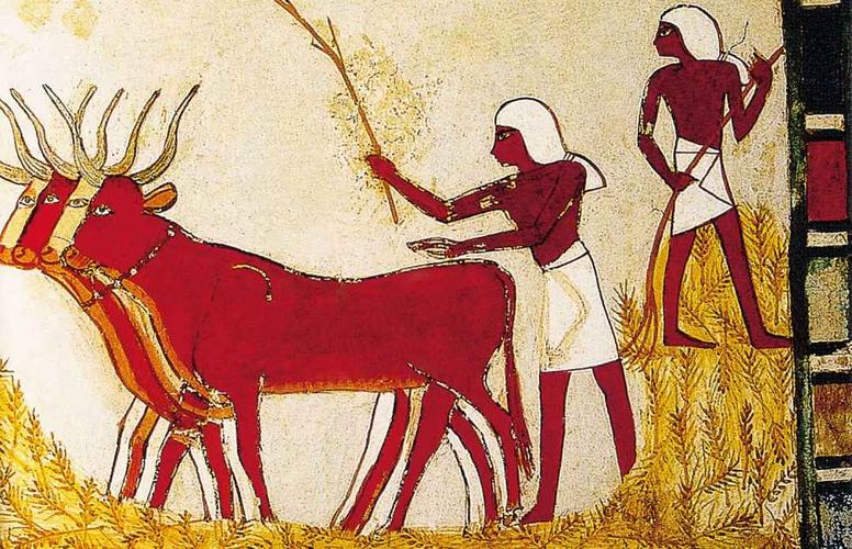 What kind of influence did the ancient Egyptian farming civilization ...