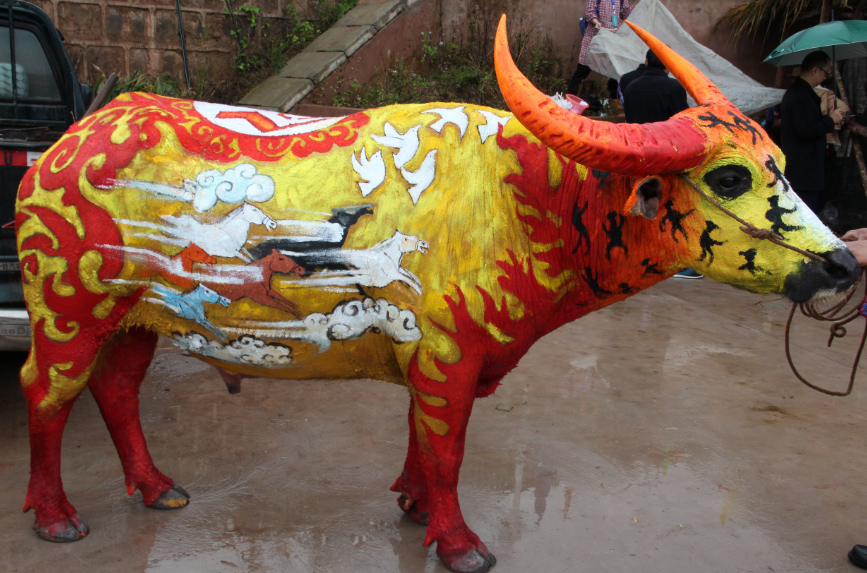The Hani people regard the cow as a symbol of auspiciousness. Why do ...