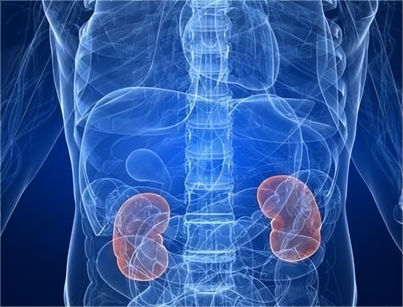 Having sex and drinking boiled tap water won't hurt your kidneys ...