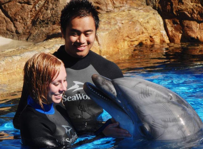 Why do dolphins save people? their intelligence, emotion and motivation ...