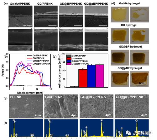 Mussel-inspired multifunctional hydrogel coatings for antitumor therapy ...