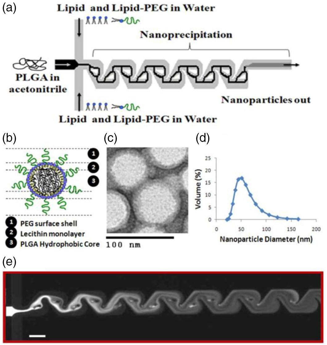 Synthesis of lipid nanoparticles - iNEWS