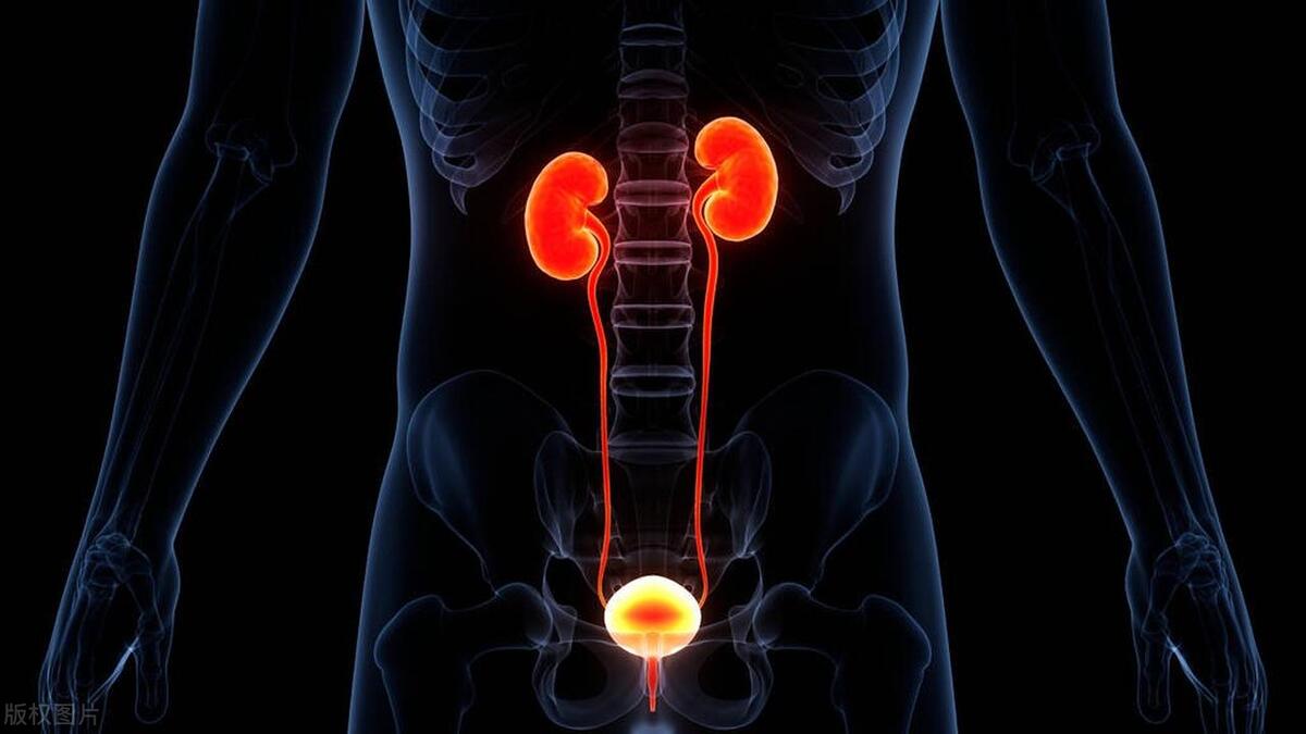 4 flavors of medicine, tonify the five internal organs, tonify qi and ...