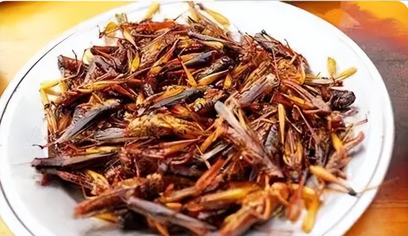 Countless people died of starvation during the locust plague in ancient ...