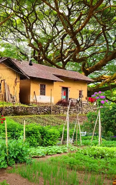 Grandpa and grandma's retirement fee is less than 10,000 yuan, and they ...