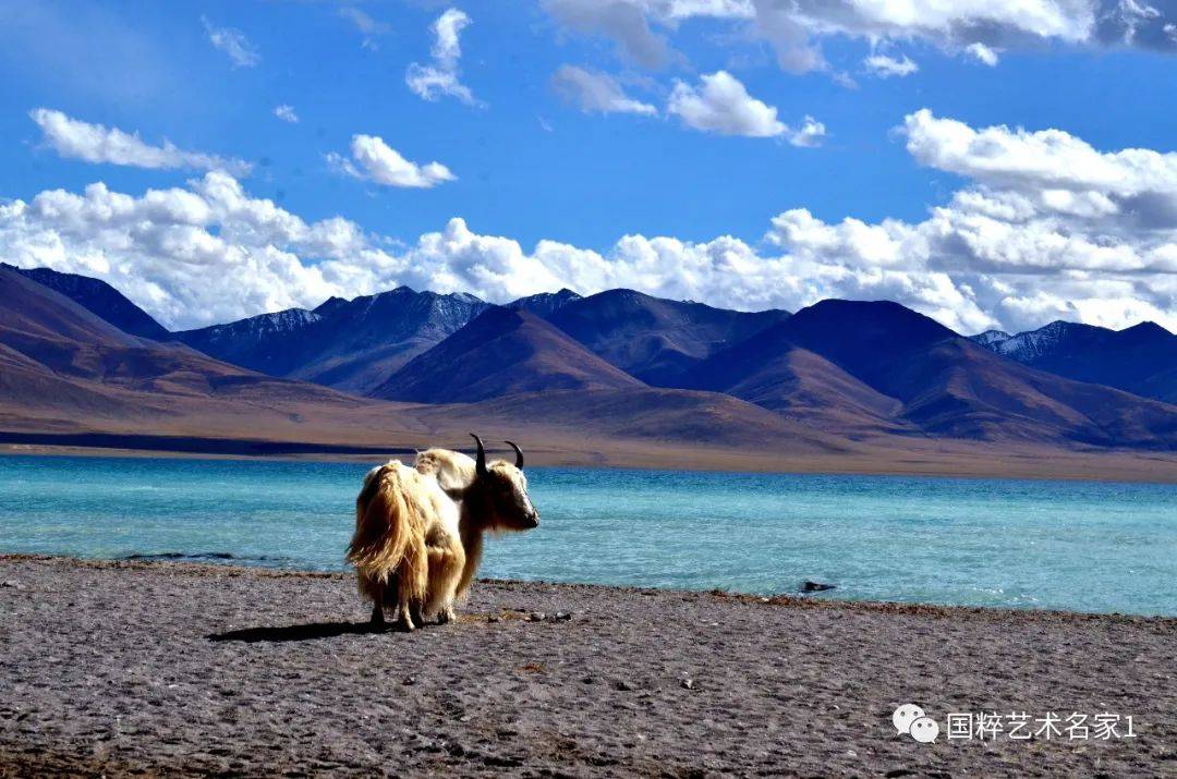 National quintessence artist - Peng Gang - iNEWS