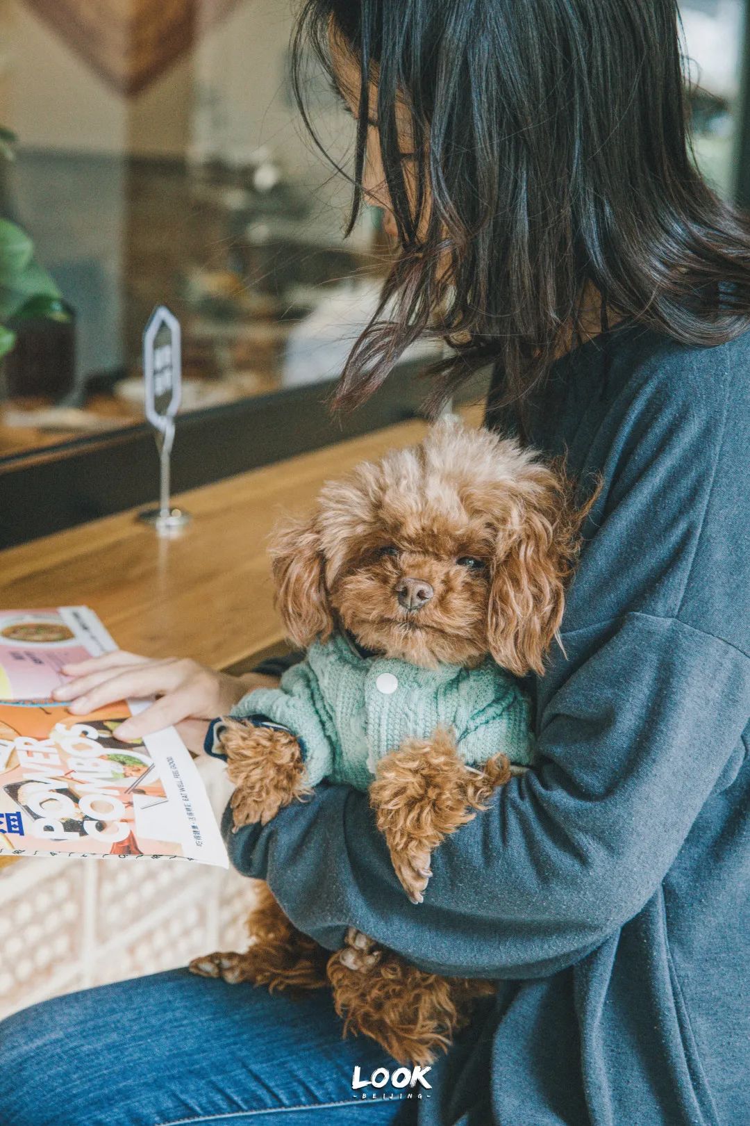 Beijing pet friendly shop · Long wait - iNEWS