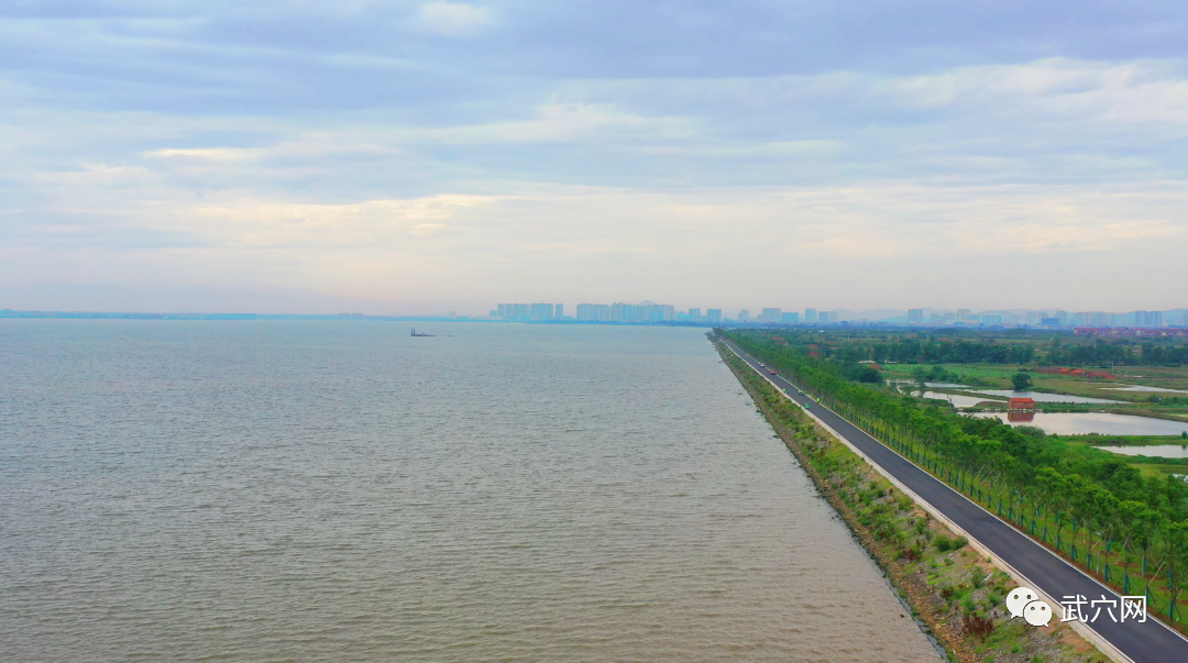 Come to Wuxue, I will "raise" you - iNEWS