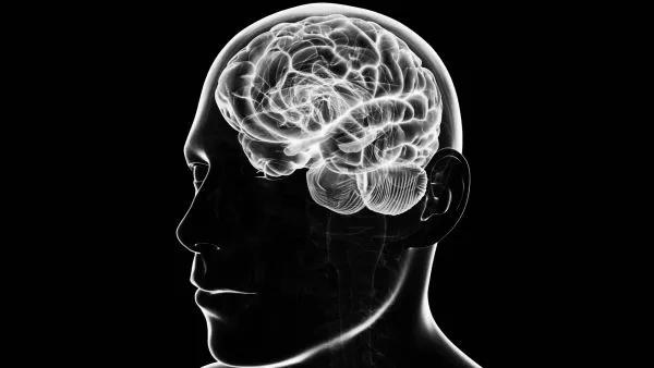 Why do humans lose their memories before the age of three, and what ...