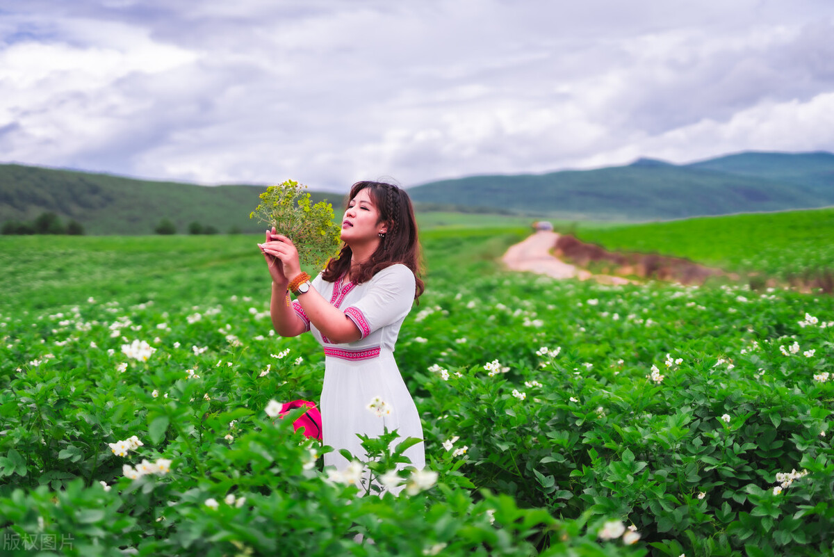 Selected Poems of Li Jiwei - iNEWS