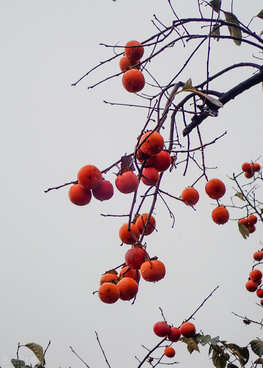 like autumn - iNEWS