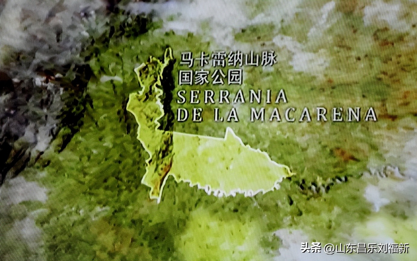 Wild Columbia Documentary Remake (Part 2) - iNEWS