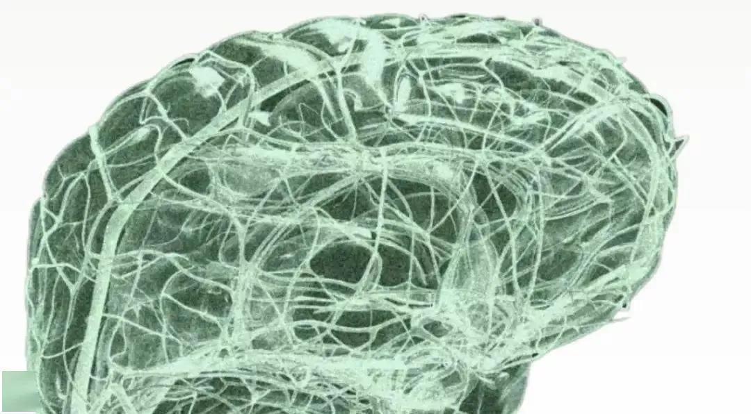 Tweet with "Mind"!Synchron brain-computer interface helps patients with ...