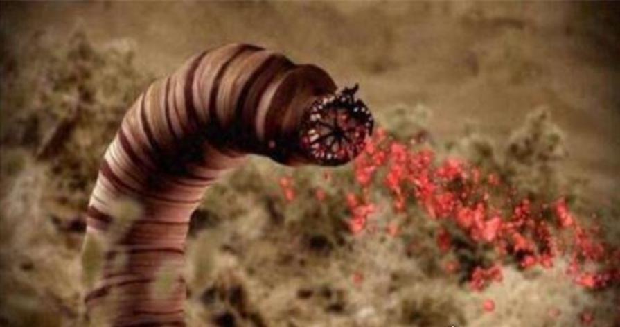 The prototype of the giant sandworm in the movie [Dune], the legendary ...